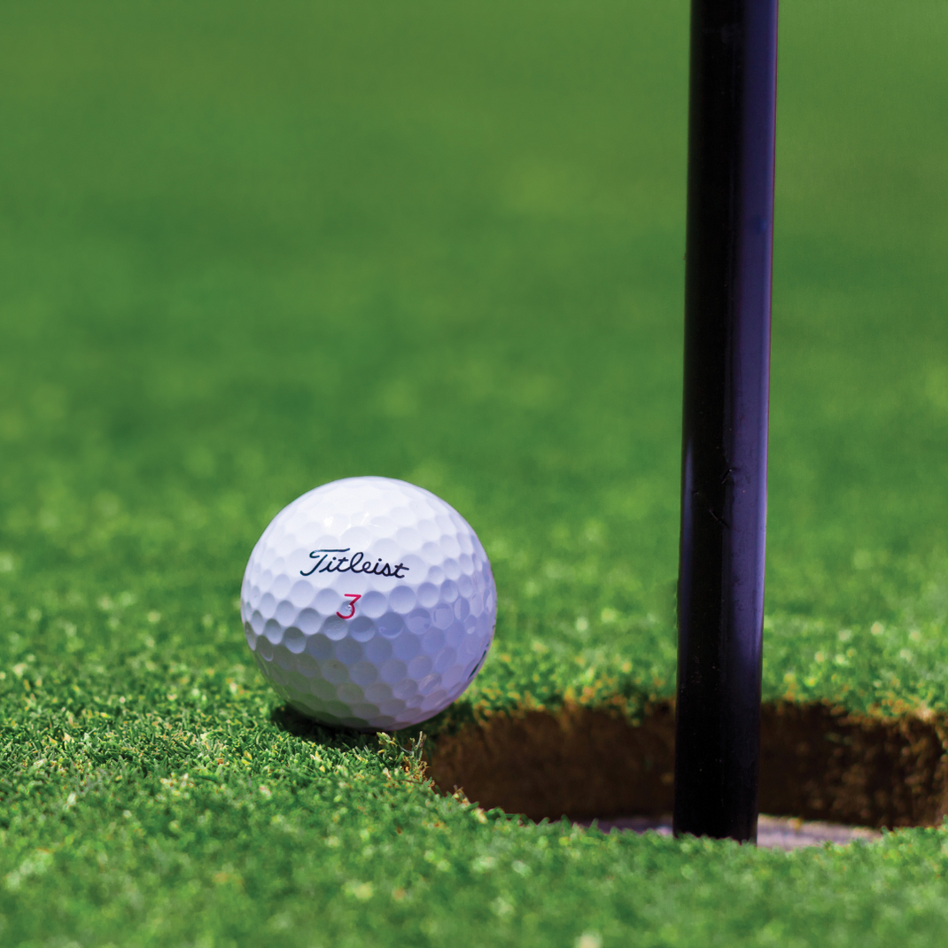 Used Golf Balls for Sale | Premium Recycled Golf Balls - golfballs.net